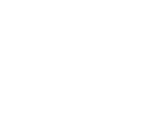 MSA Free Travel Pass Program